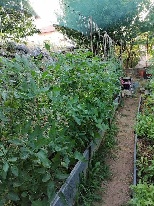 IMG 20210713 192353 — Postimages