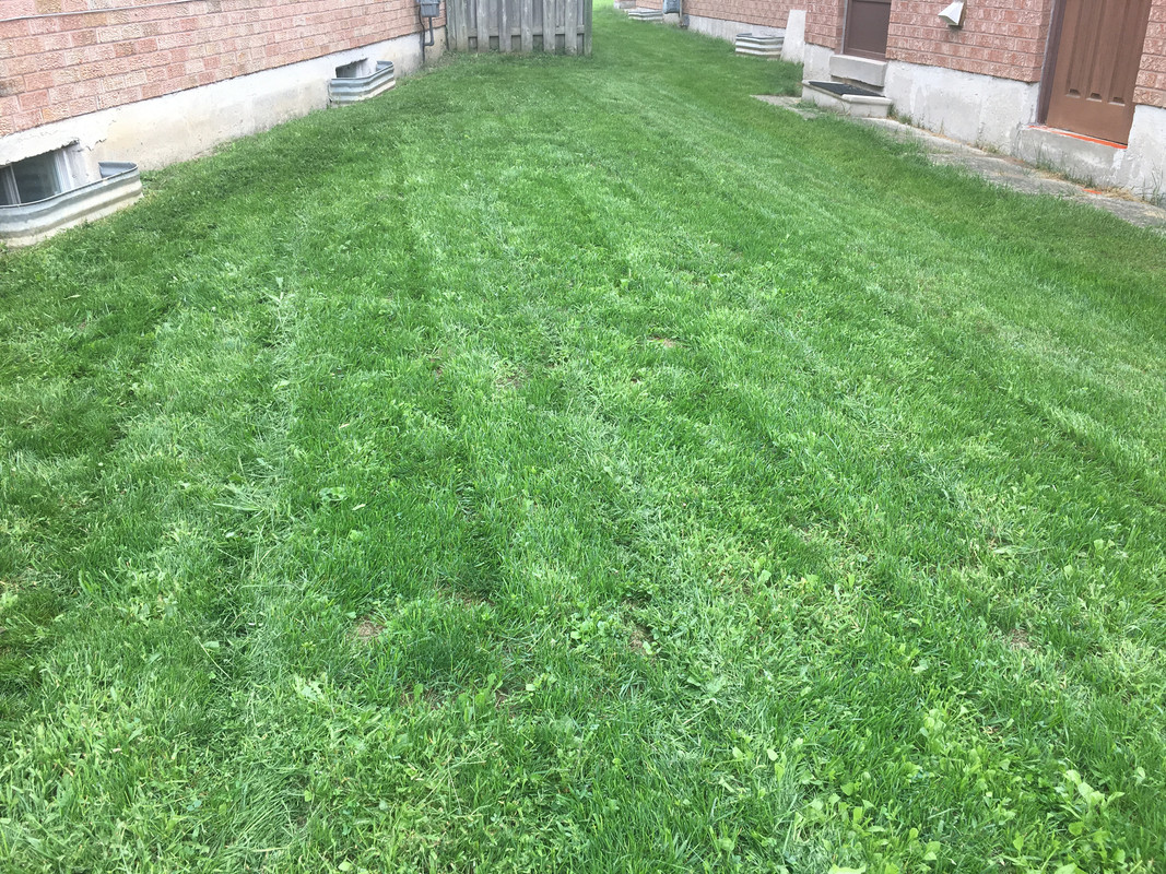 IMG 4153 — Postimages