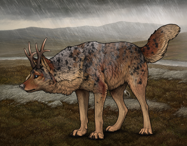 🤎KATO🩶Caribou T3 | H&H Het. Eyes | 10 marks!🩶400 SC or 2 GC🤎 |:| Wolvden