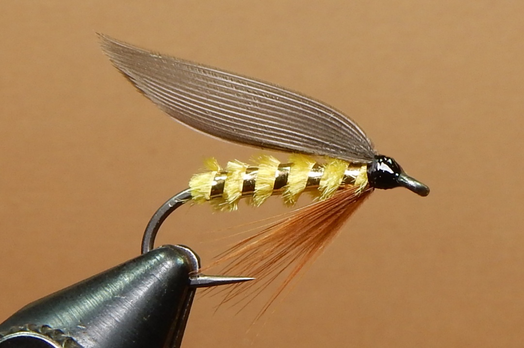 What Are You Tying Today? 2025 | Page 42 | Pennsylvania Fly Fishing
