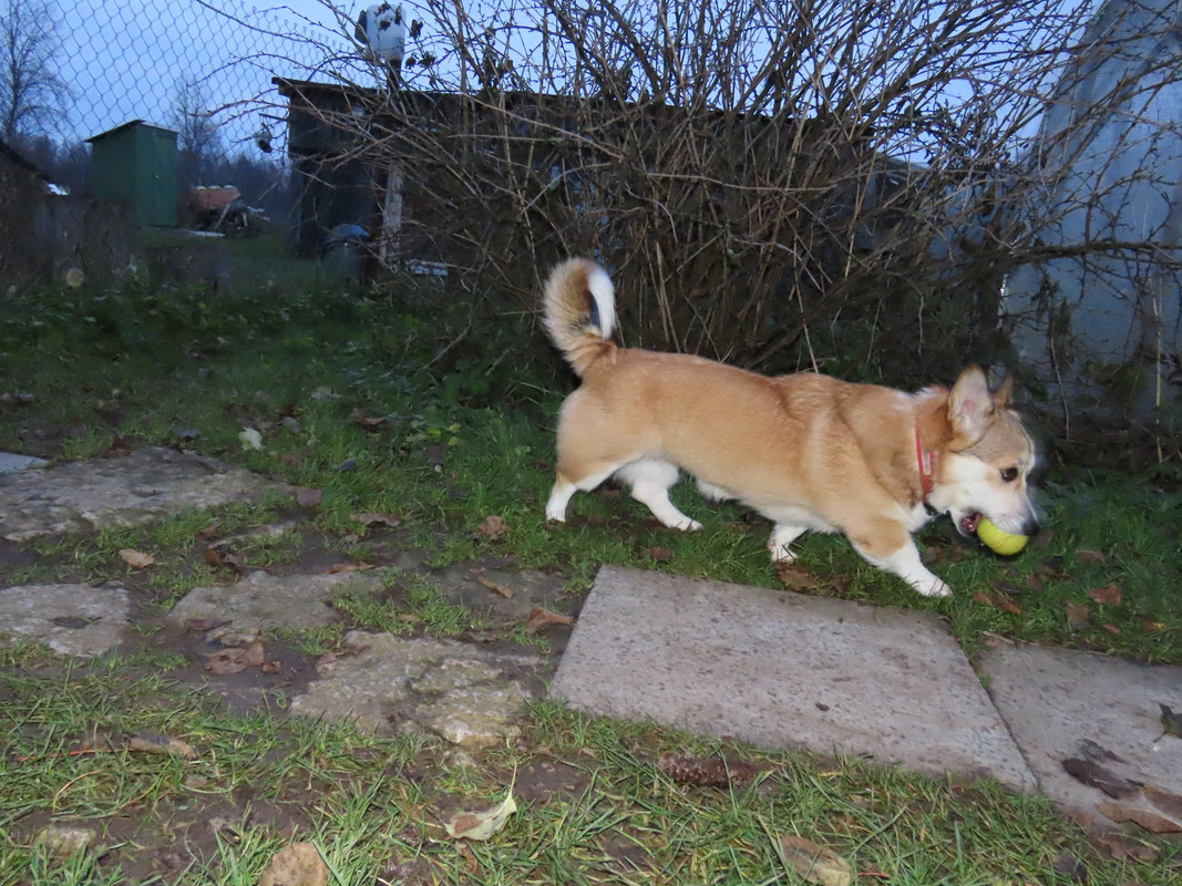 IMG 9929 — Postimages