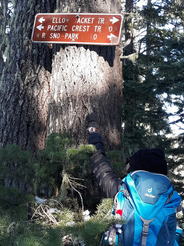 PCT sign — Postimages