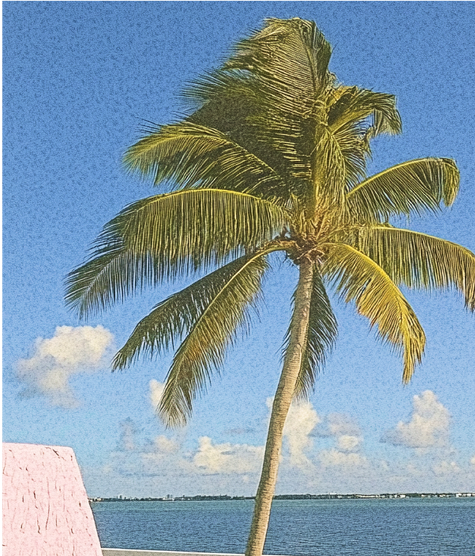 Friends of Figma World Tour 2025