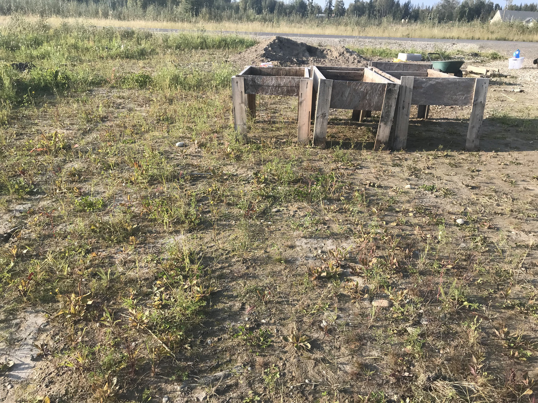 How to maintain weedy lot | Lawn Care Forum