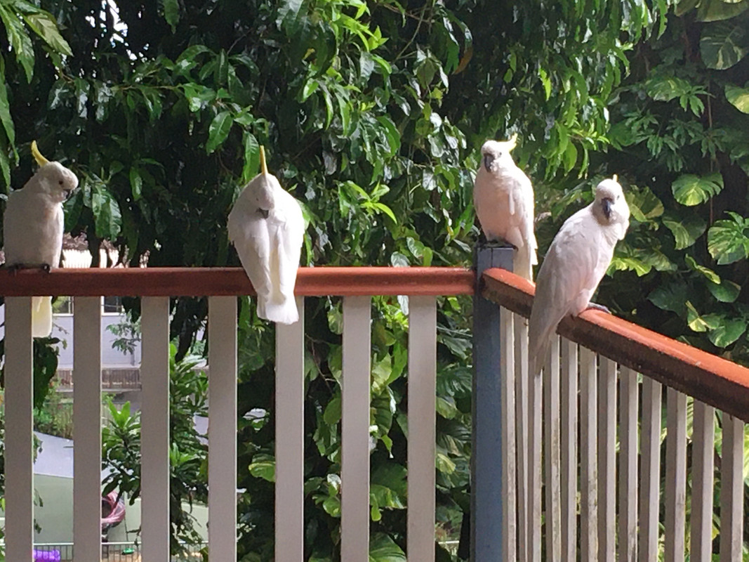 IMG 1044 — Postimages