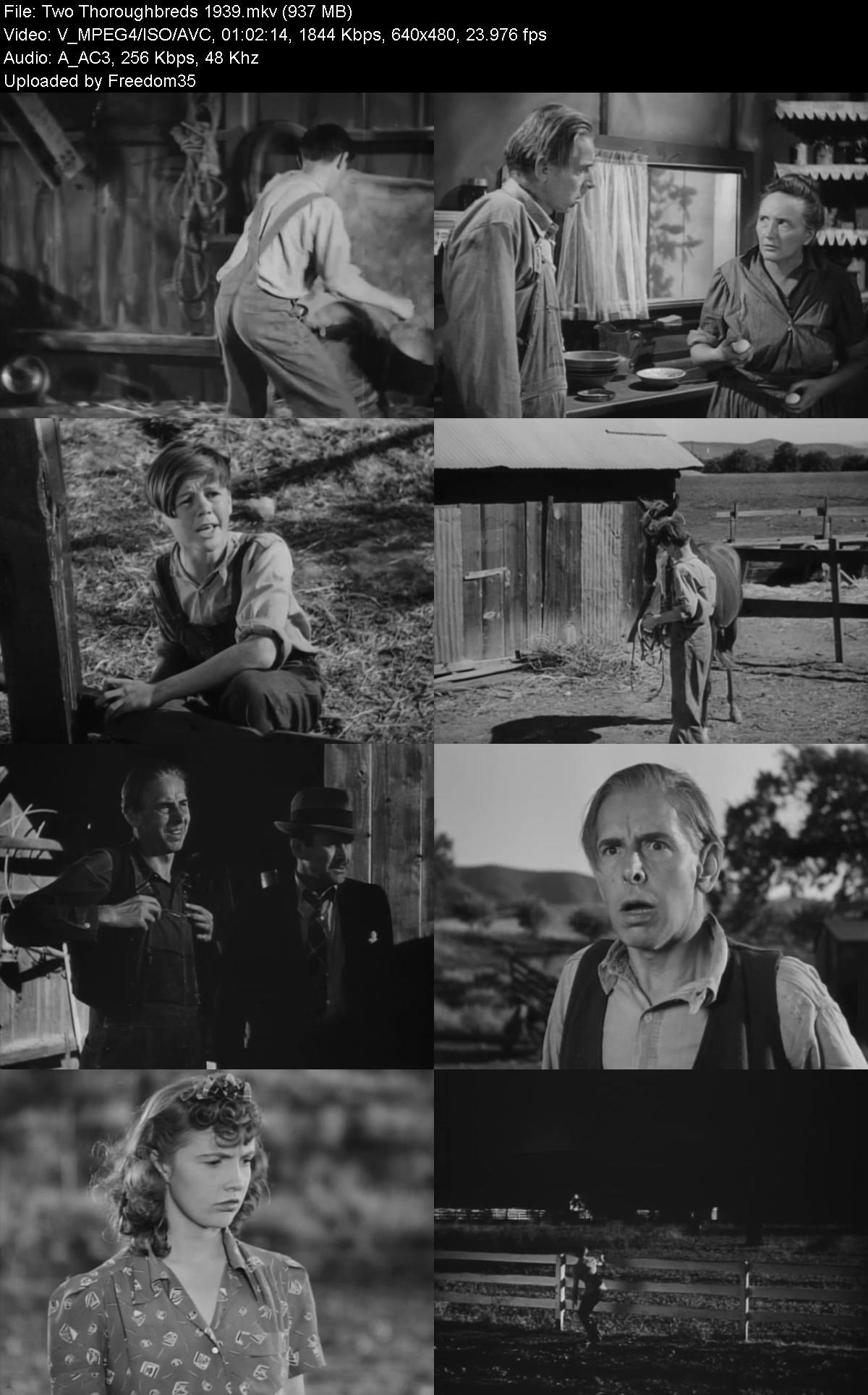 Two Thoroughbreds 1939 — Postimages