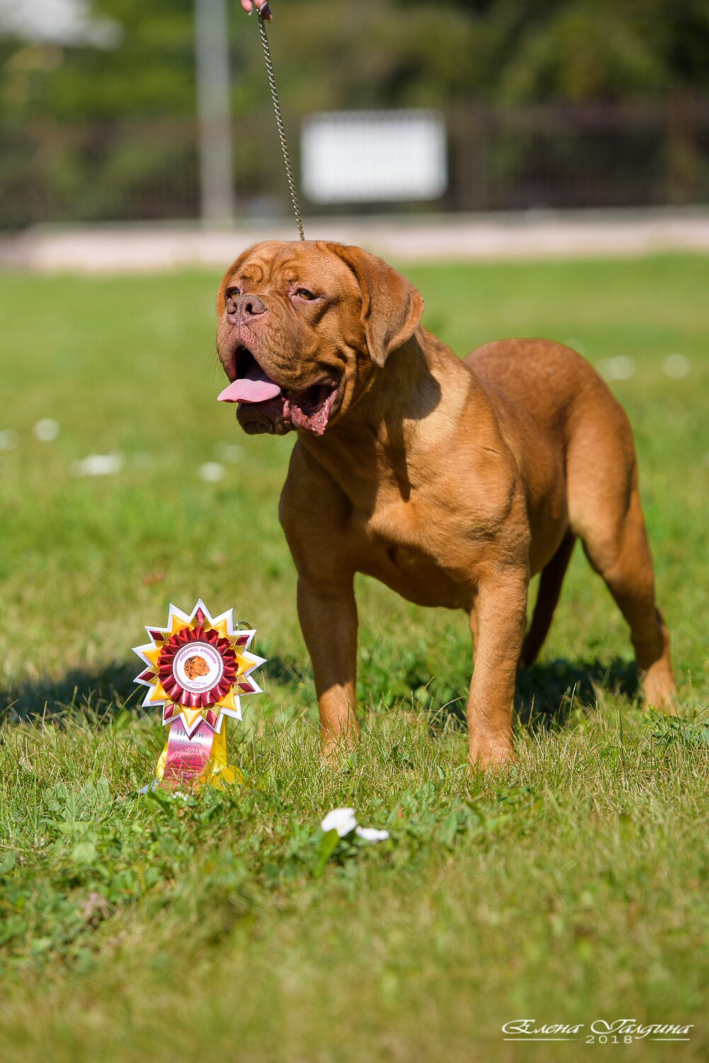 AFT 6953 — Postimages