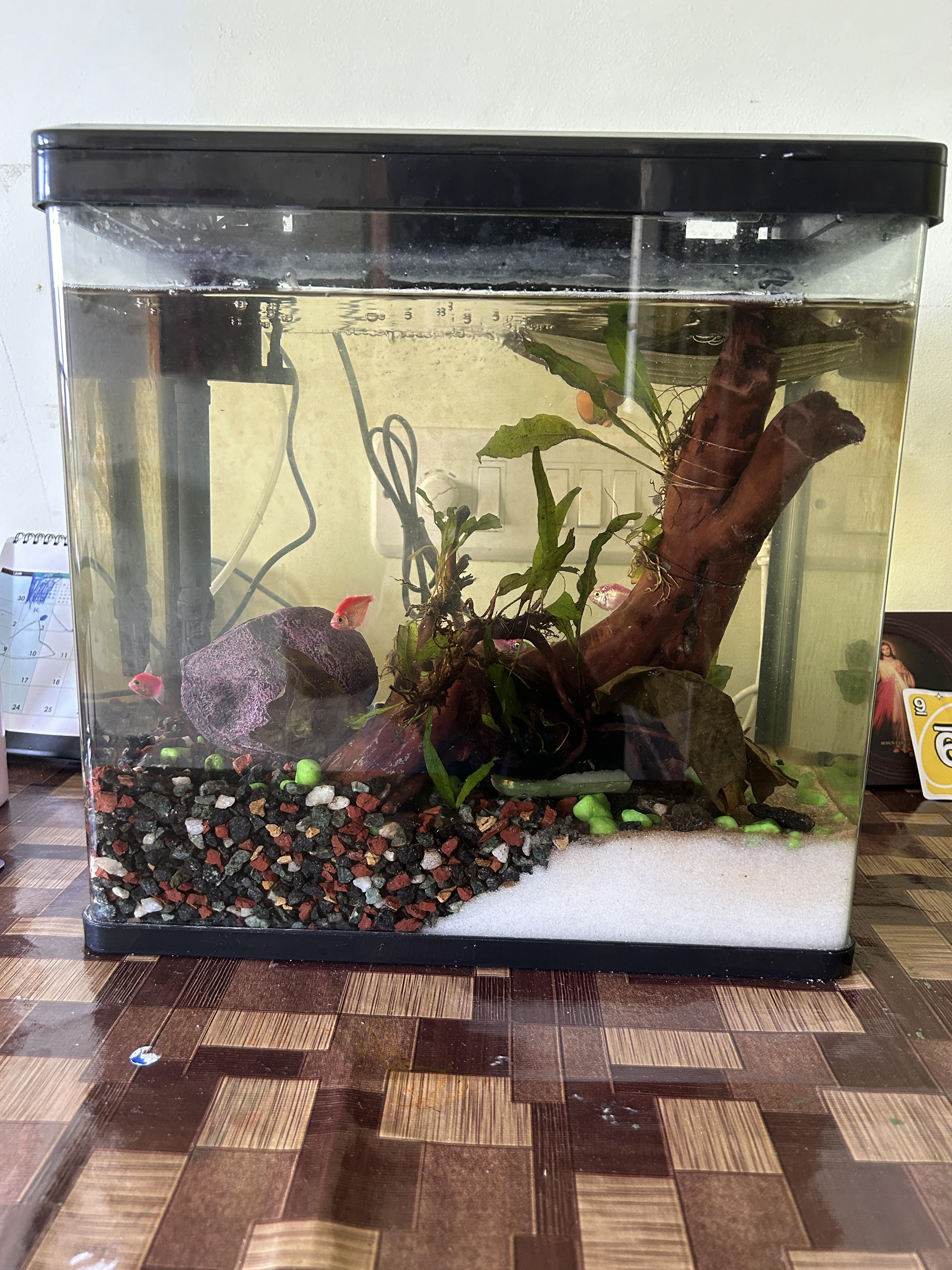 Front View — Postimages