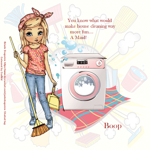 washer broom Misty — Postimages