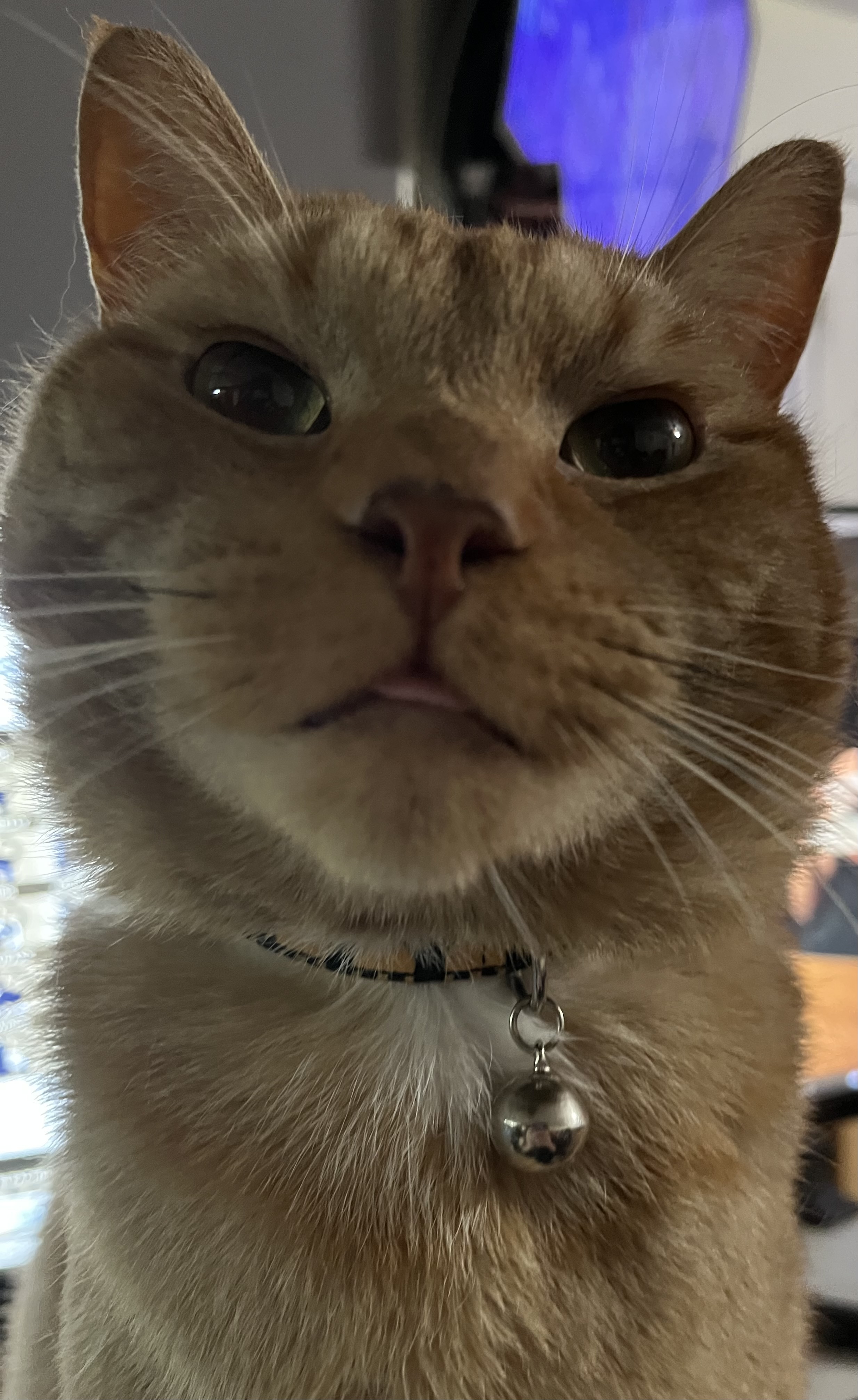 IMG 5008 — Postimages