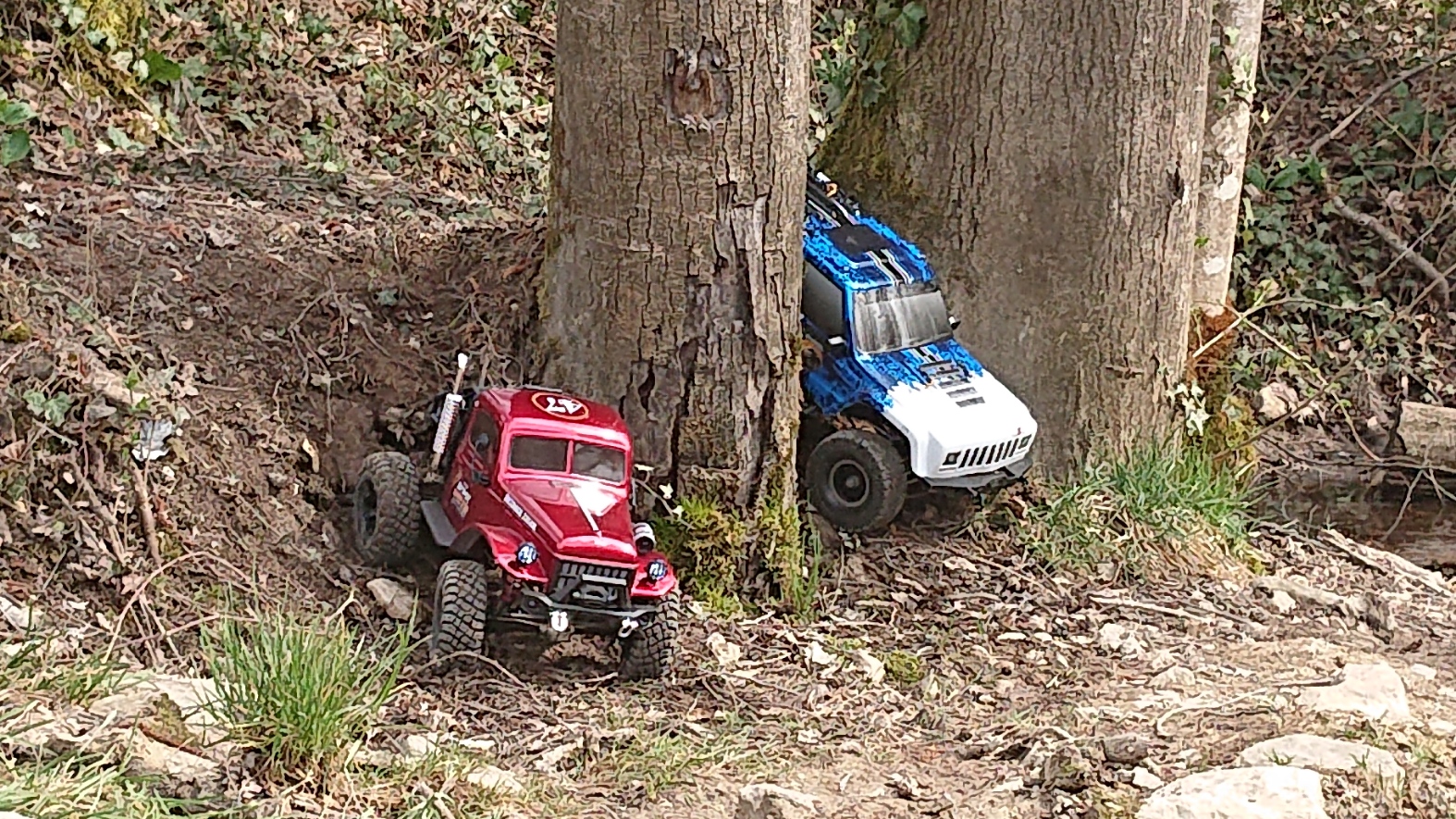 CRAWLER DSC 0067 — Postimages