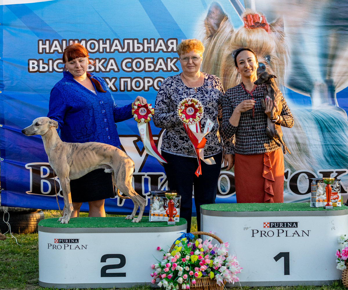 КВ 4171 — Postimages