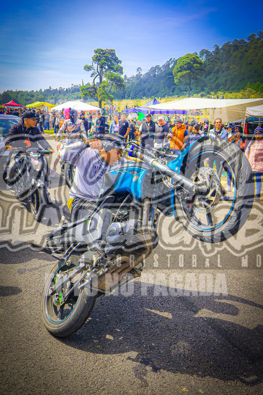 PL2 3033 — Postimages