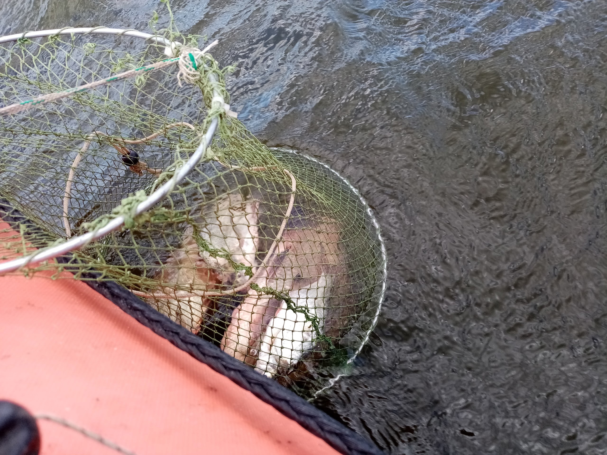 N R7 Ffl PM — Postimages