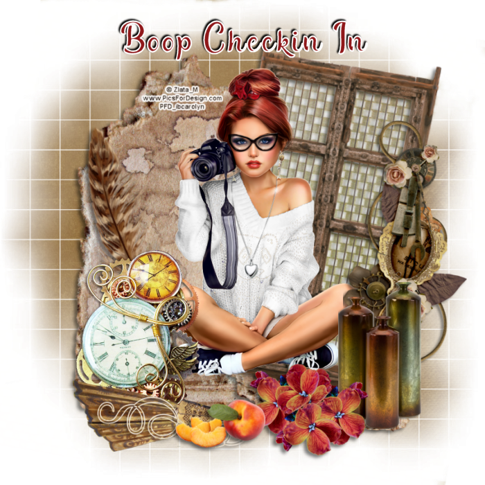 Camera Clock Feather Time Travel PEACHES — Postimages