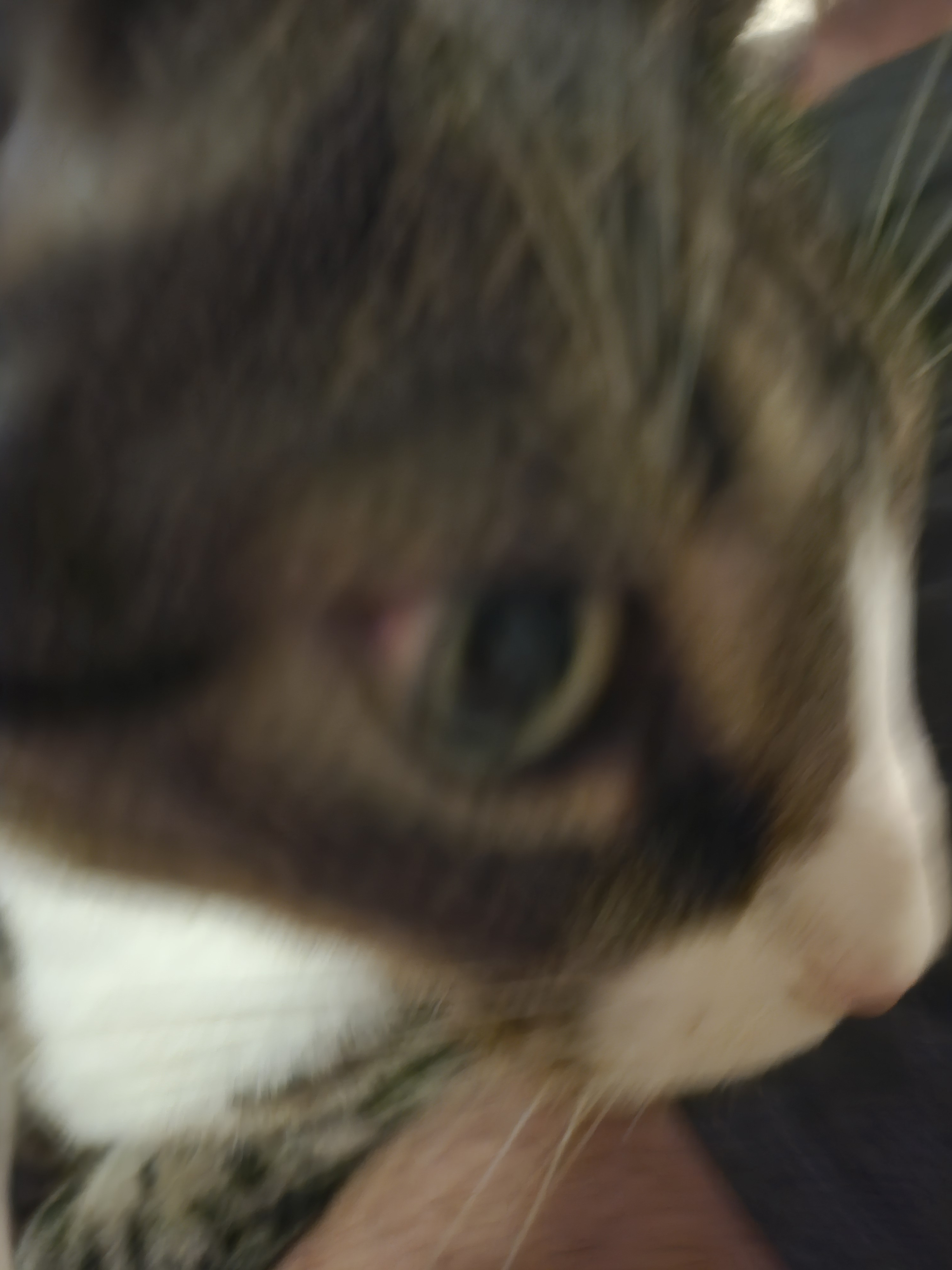 20240625 211655 — Postimages