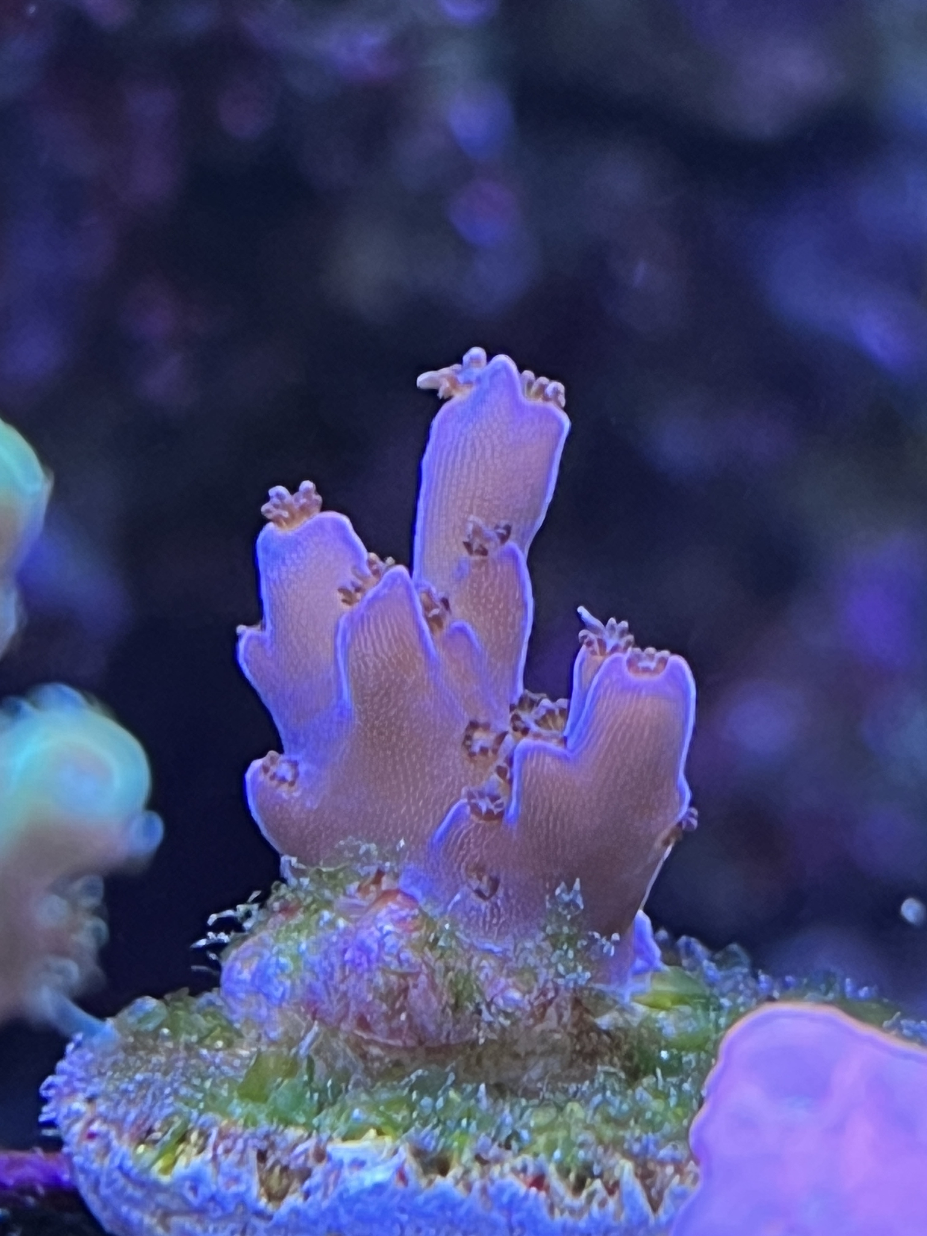 Tierra del Fuego — Postimages