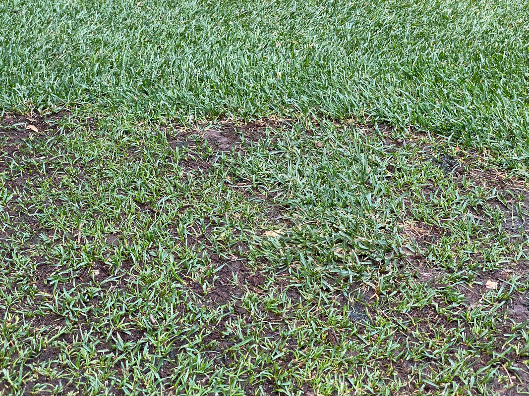 IMG 2272 — Postimages