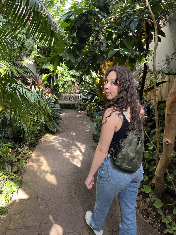 bench — Postimages