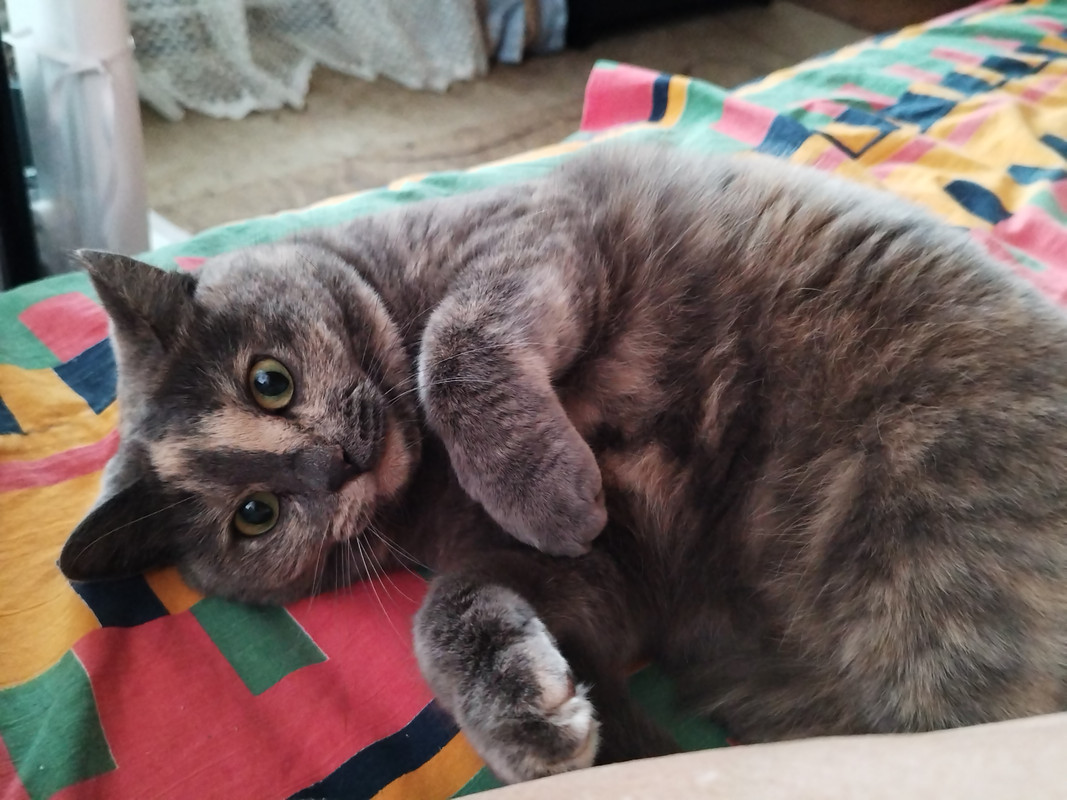 IMG 20231027 083217 — Postimages