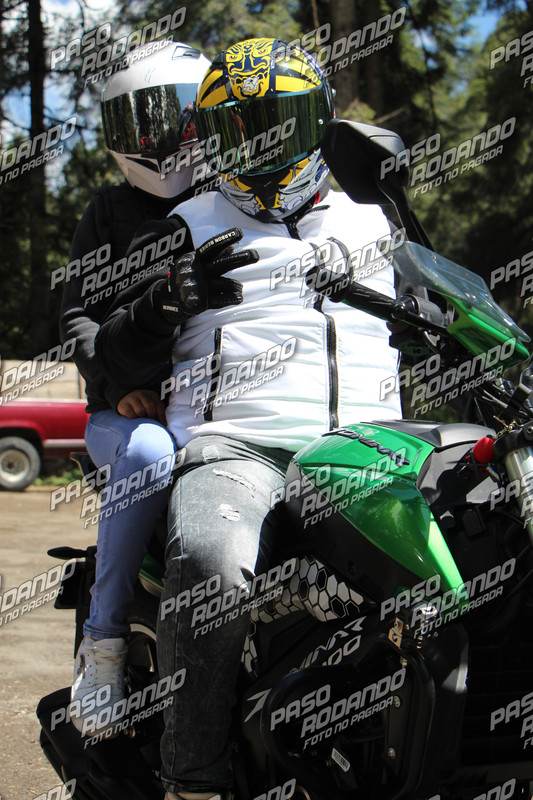 IMG 1289 wm 124574 watermarked — Postimages