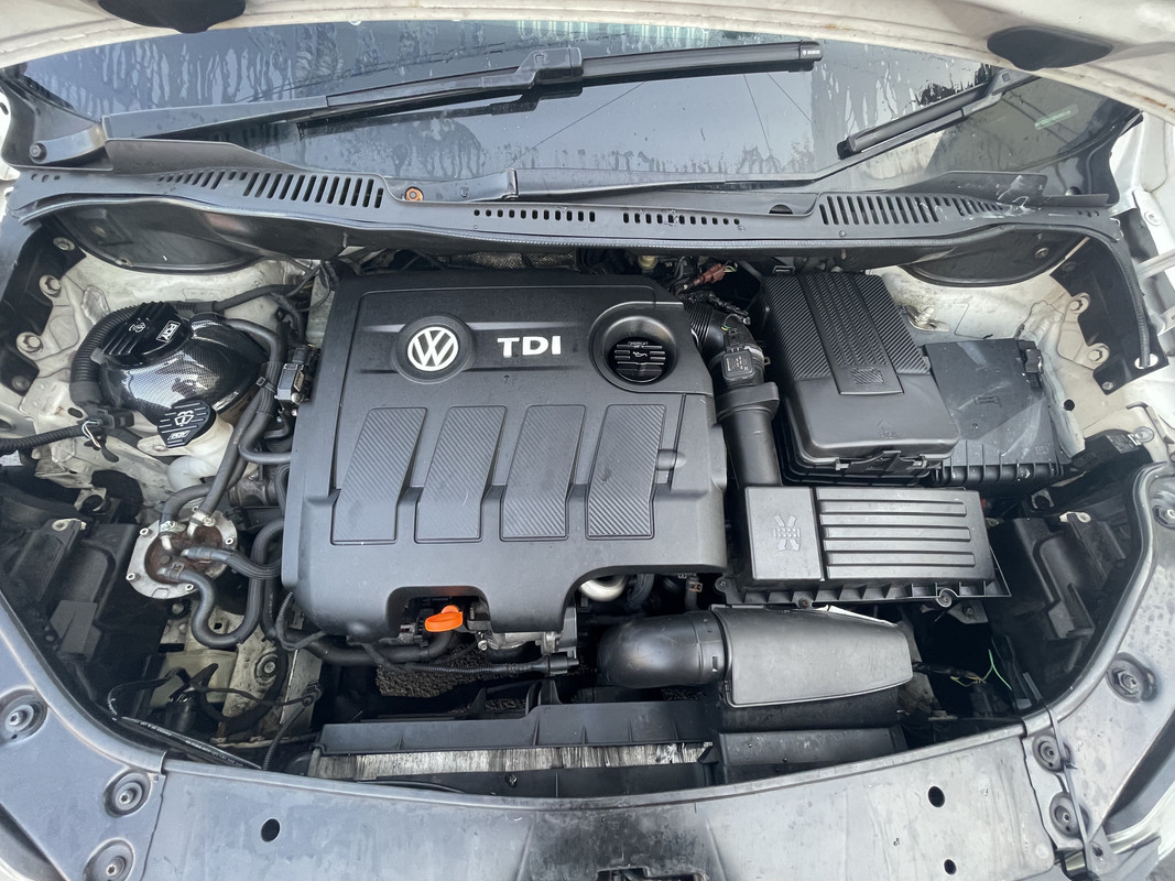 IMG 8258 — Postimages