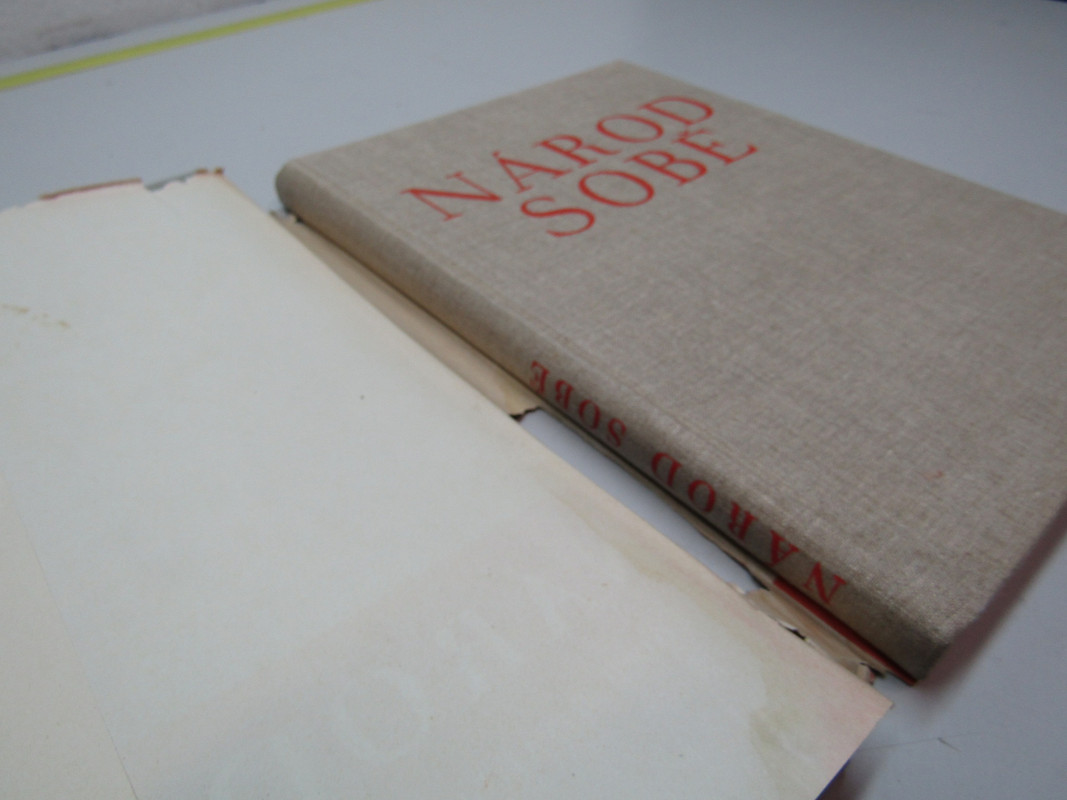 IMG 9844 — Postimages