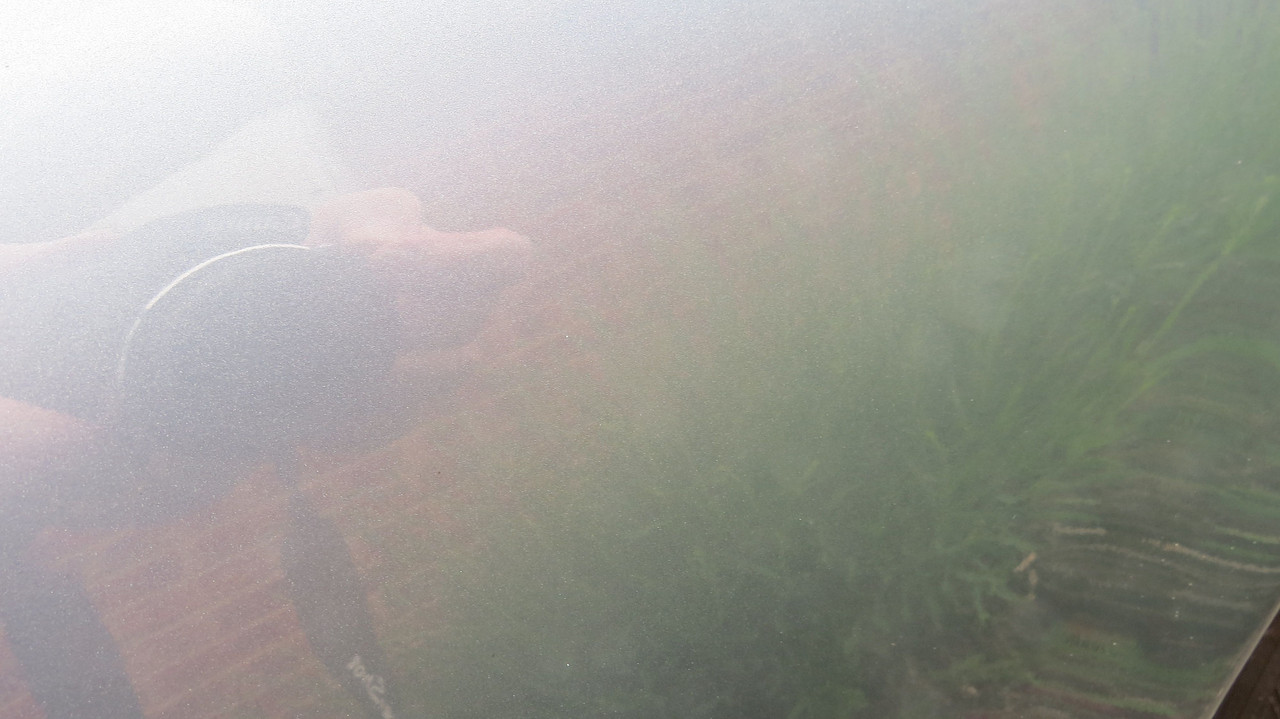 Scratches After — Postimages