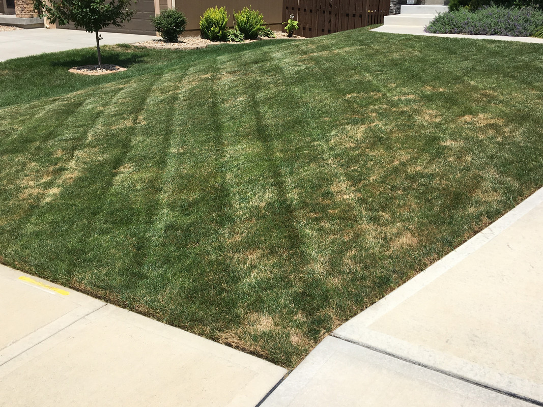 IMG 7931 — Postimages