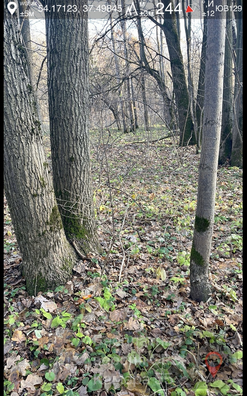 IMG 1860 — Postimages