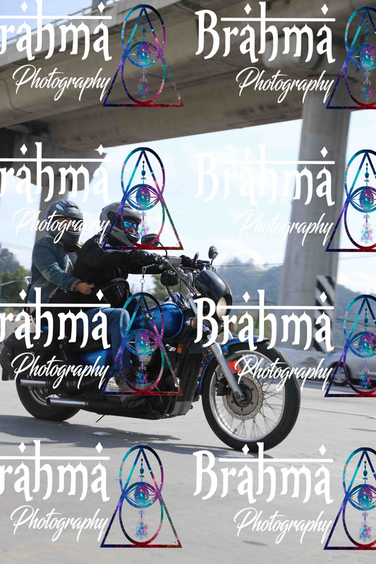 IMG 1744 — Postimages