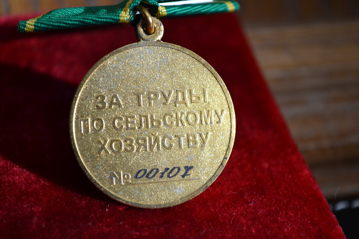 DSC 0320 — Postimages