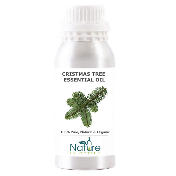 Christmas Tree Essential Oil Organic - Abies fraseri peocera grandis