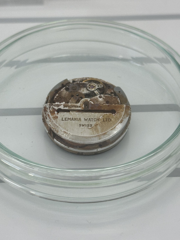 IMG 9951 — Postimages