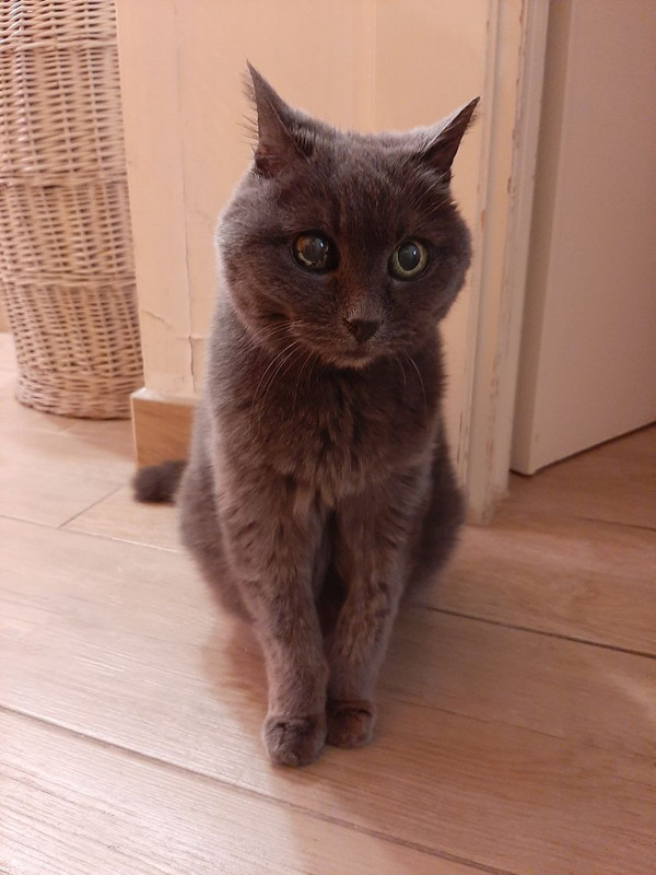 martina — Postimages