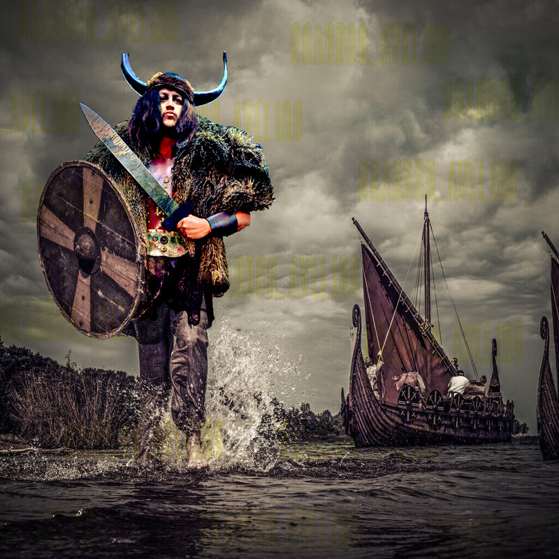 Viking warrior with shield 1024x1024 — Postimages