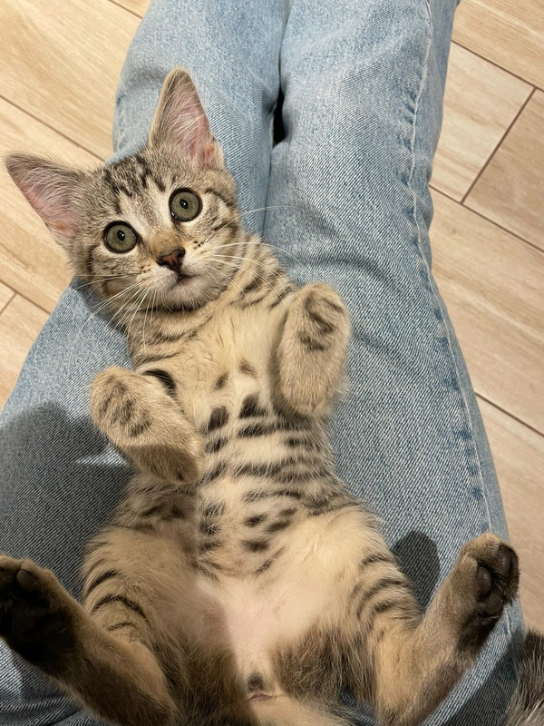 F9 B213 E2 2088 401 B B35 D A7 BD13 FD0 E35 — Postimages