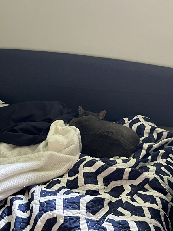 EC9857 F0 0 E6 E 47 C6 82 AC 58 EC9 C159 D12 — Postimages