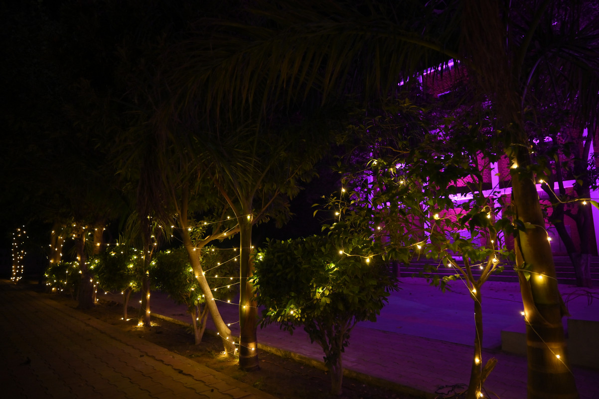 DK2 5069 — Postimages