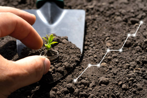 @mad-hearts on Tumblr