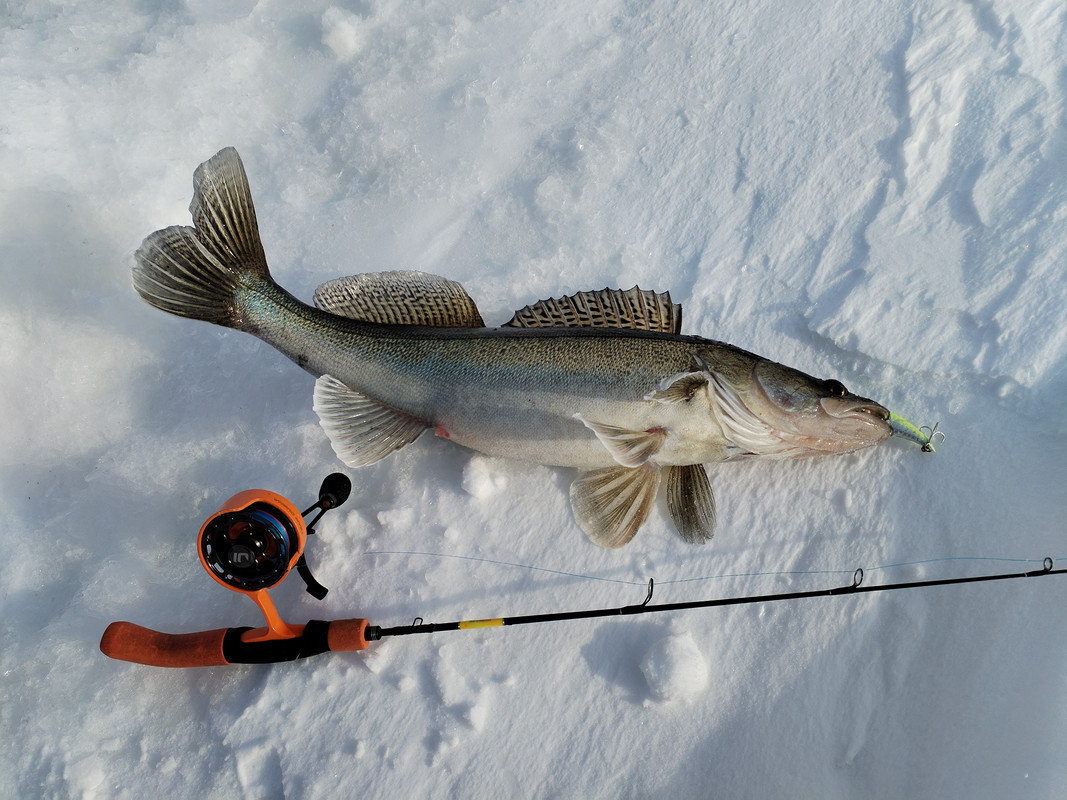 IMG 20240209 114113 — Postimages