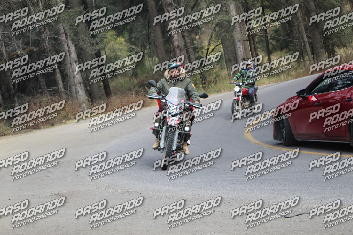 IMG 2962 — Postimages