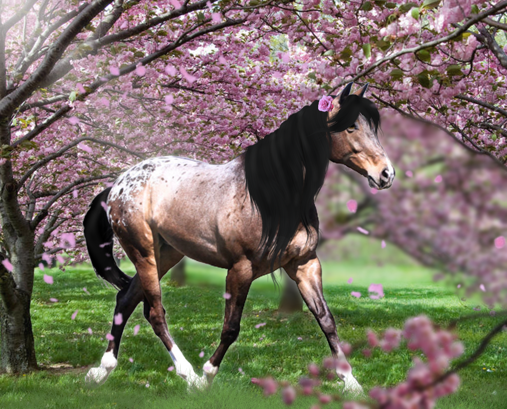 Horse Eden : Cherry Blossom Roan Set {SOLD}