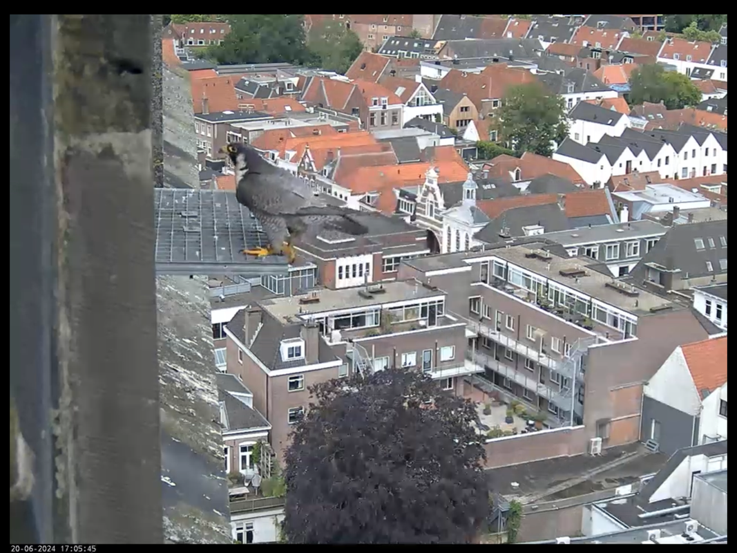 IMG 1645 — Postimages