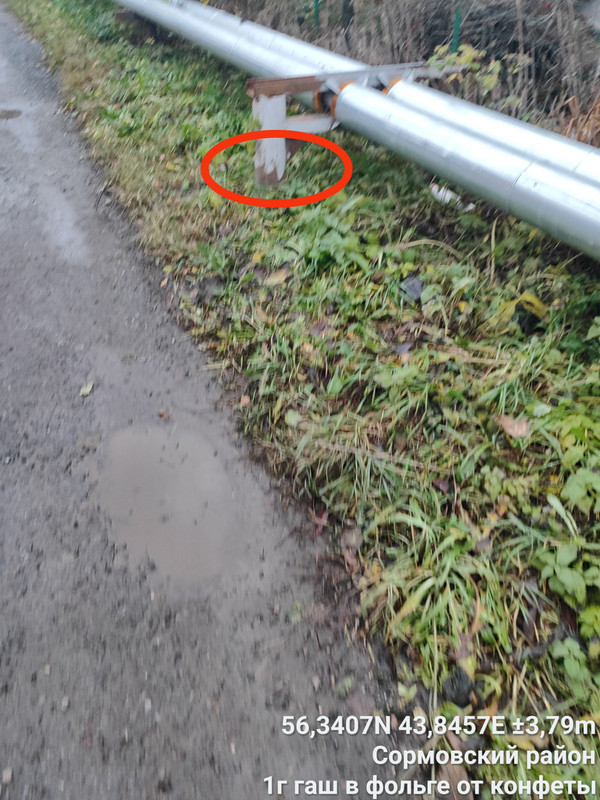 IMG 20231114 091554 — Postimages