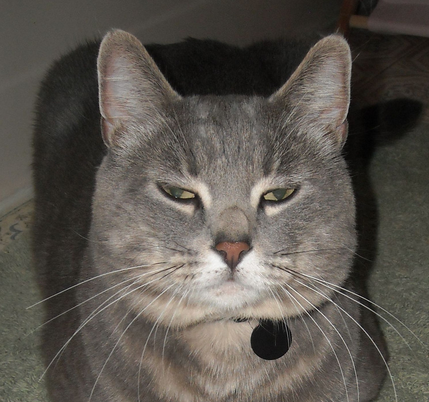 jackprint1 — Postimages