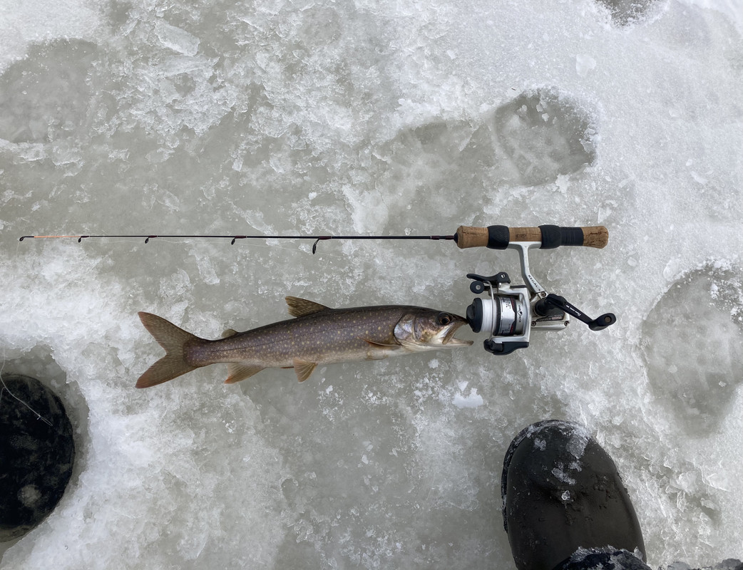 9 D55995 D 536 F 46 DB ADC8 20 E1294 B665 B — Postimages