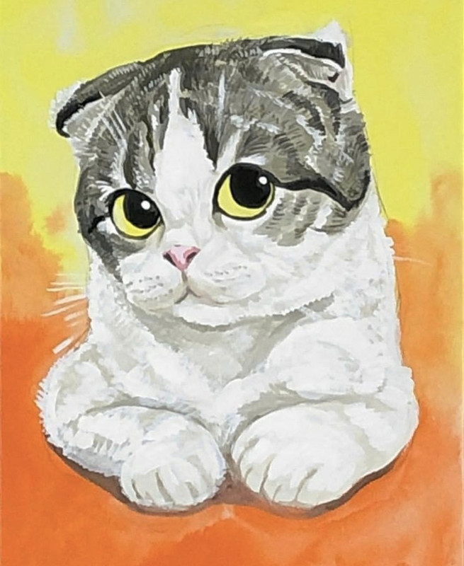 e7 O6 VFmcb Pg — Postimages