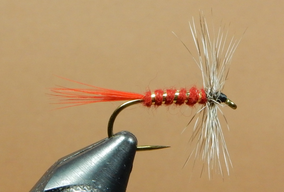 Gray Hackles - Fly Tying - Maine Fly Fish