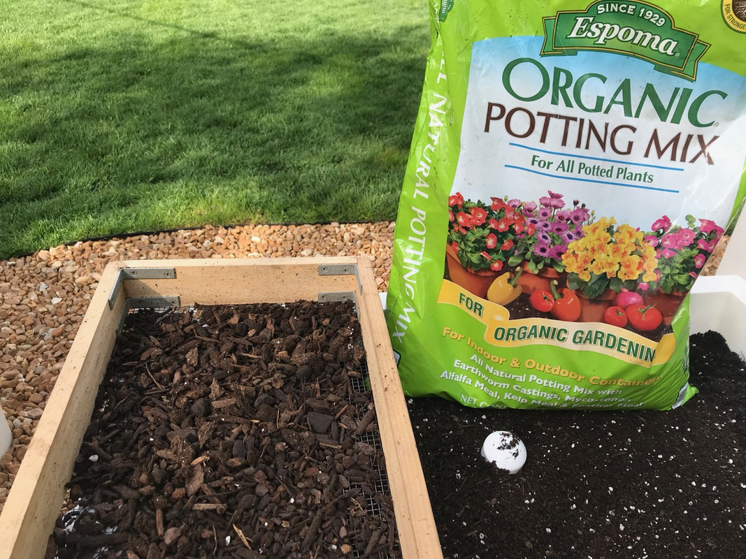 IMG 8399 — Postimages